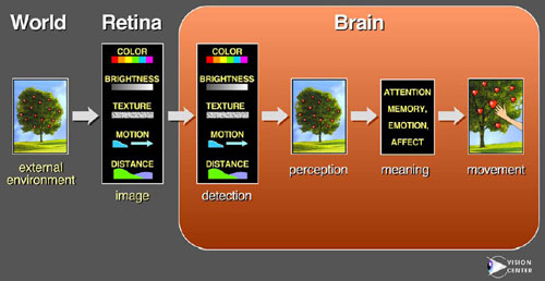 CE Center | Multimedia | Color, Perception, and...