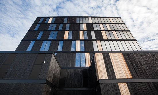CE Center | Article | Tall Wood Takes a Stand